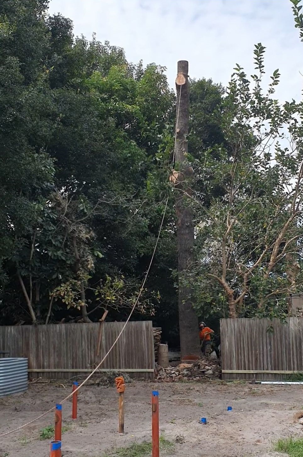 Treesmith Newcastle - Tree services in Newcastle